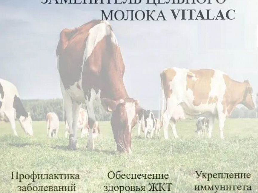 Заменитель цельного молока для телят, поросят, зцм