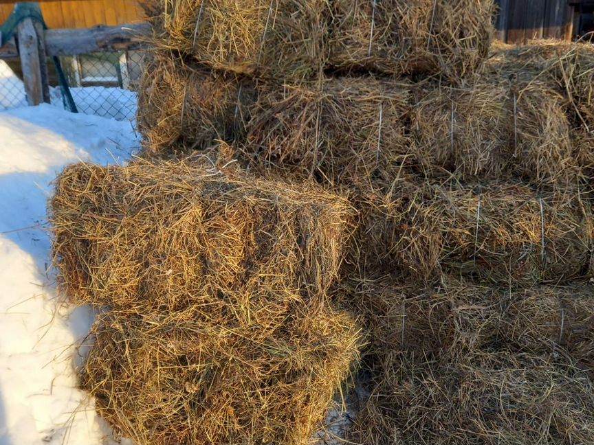 Сено в тюках луговое