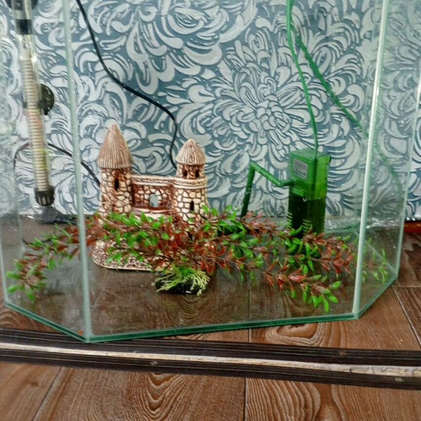Аквариумные рыбки