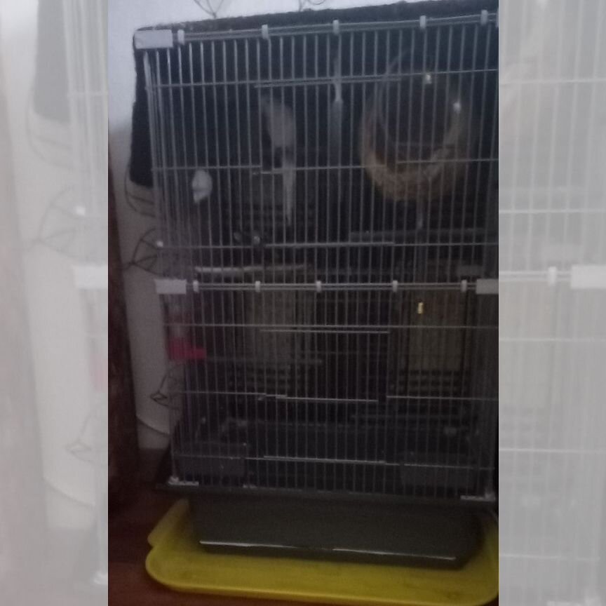 Клетка для попугая