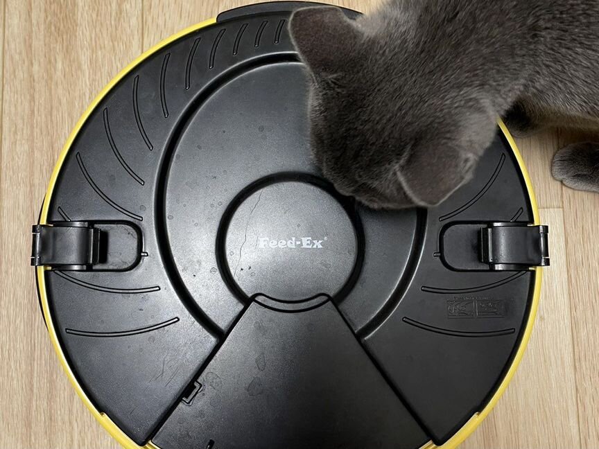 Автоматическая кормушка для кошек и собак