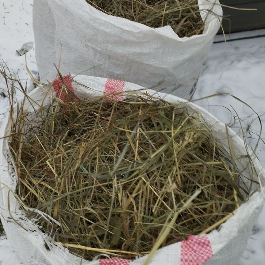 Сено в мешках для подстилки