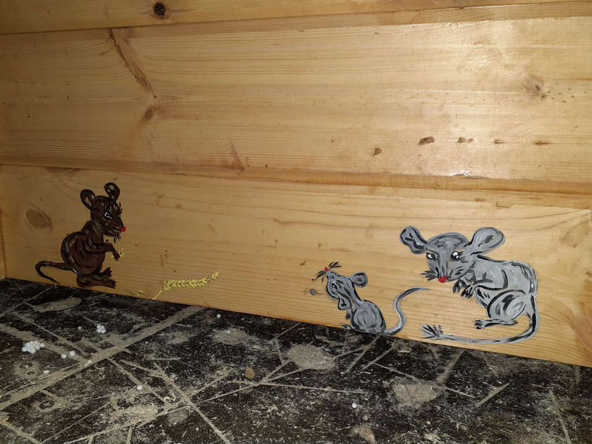 Будка для кошек домик для кошки зимний