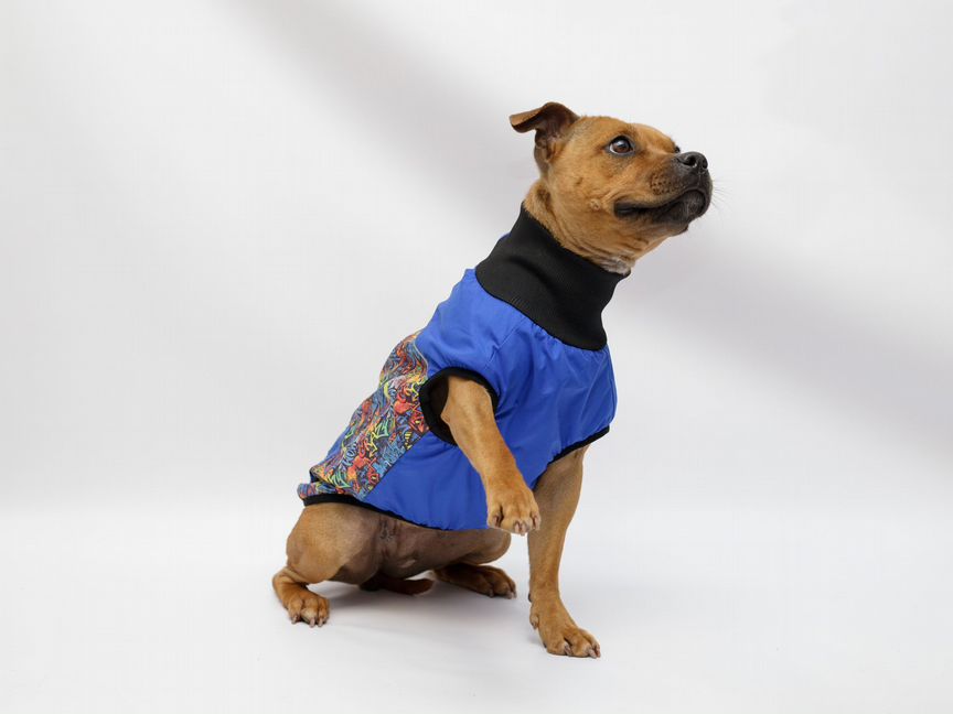 Жилетка для собак