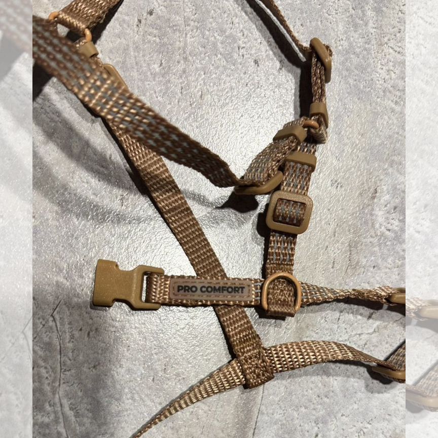 Шлейка для маленькой собаки pro comfort