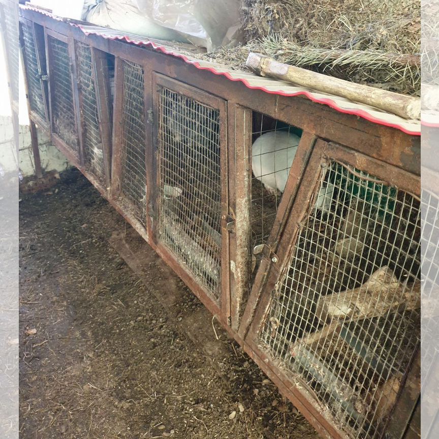 Клетка для кроликов