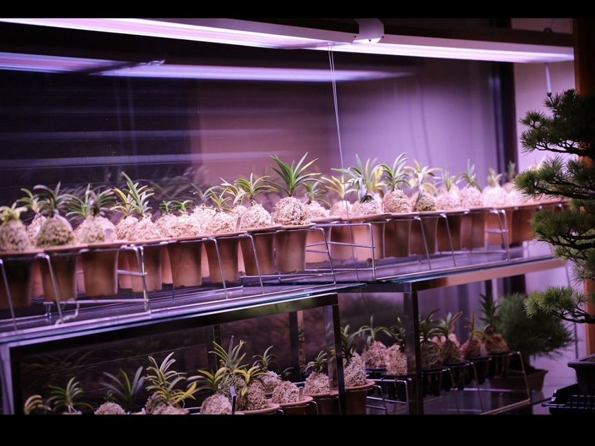 Светильник ATI SunPower T5