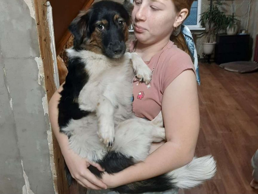 Помогите Монике