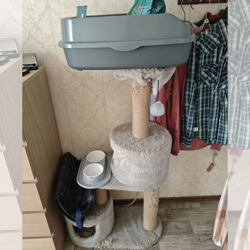 Лоток для кошек