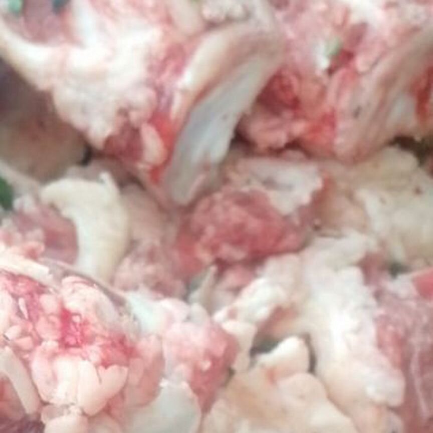 Косточки собачкам