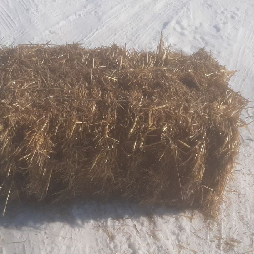 Солома пшеничная в тюках