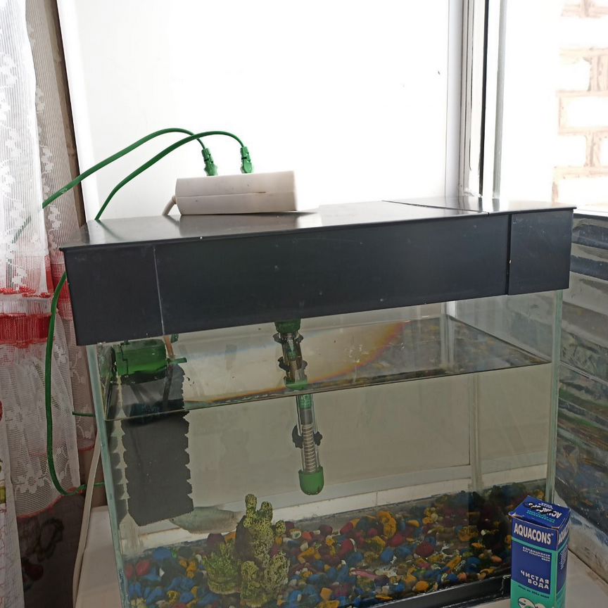 Отдам аквариум с рыбками