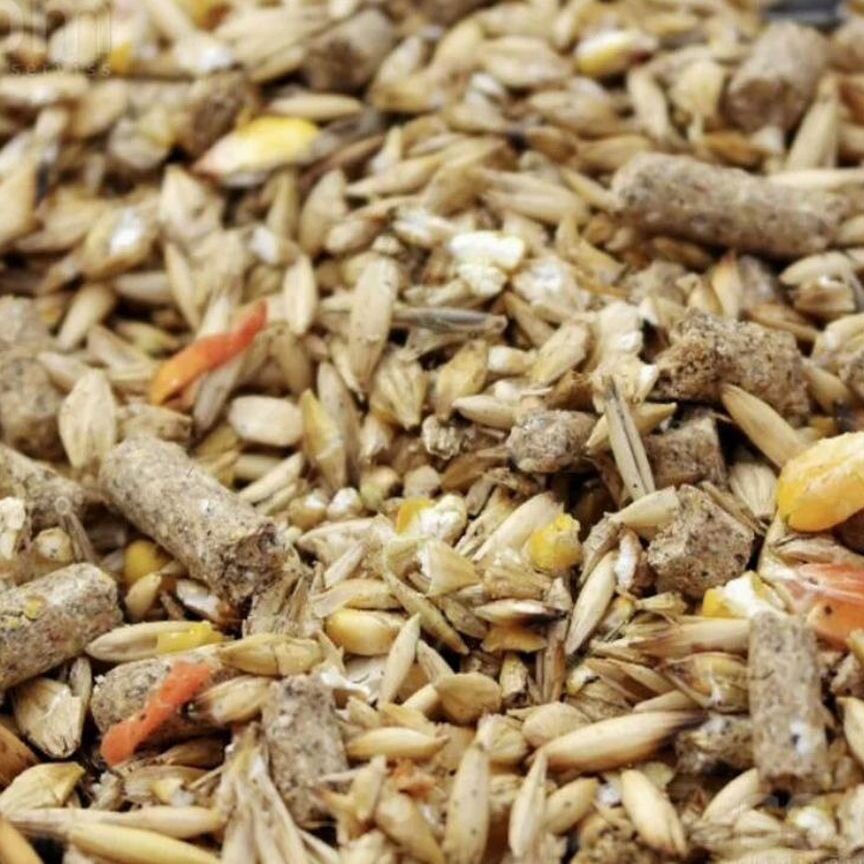 Корм для кур несушек от 4 месяцев