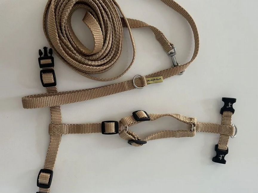 Шлейка и поводок Sharik dog