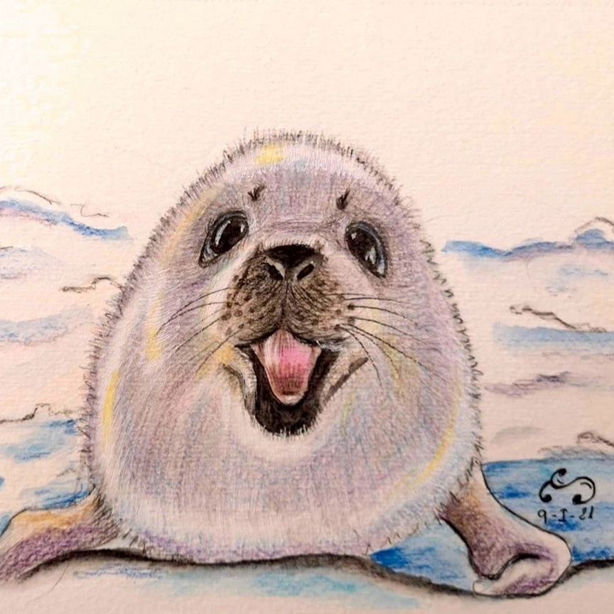 Рисую ваших питомцев