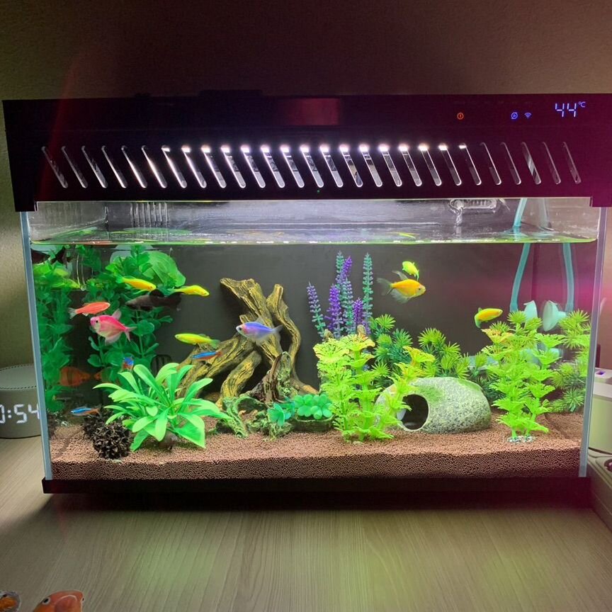 Аквариум с рыбками