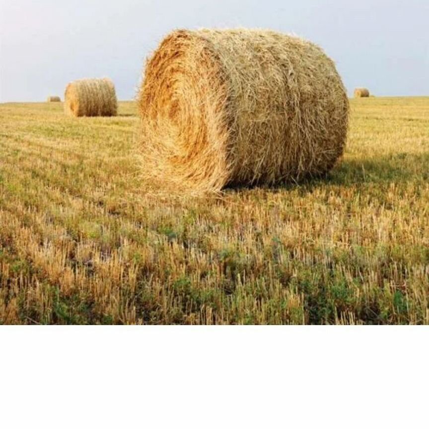 Солома в рулонах