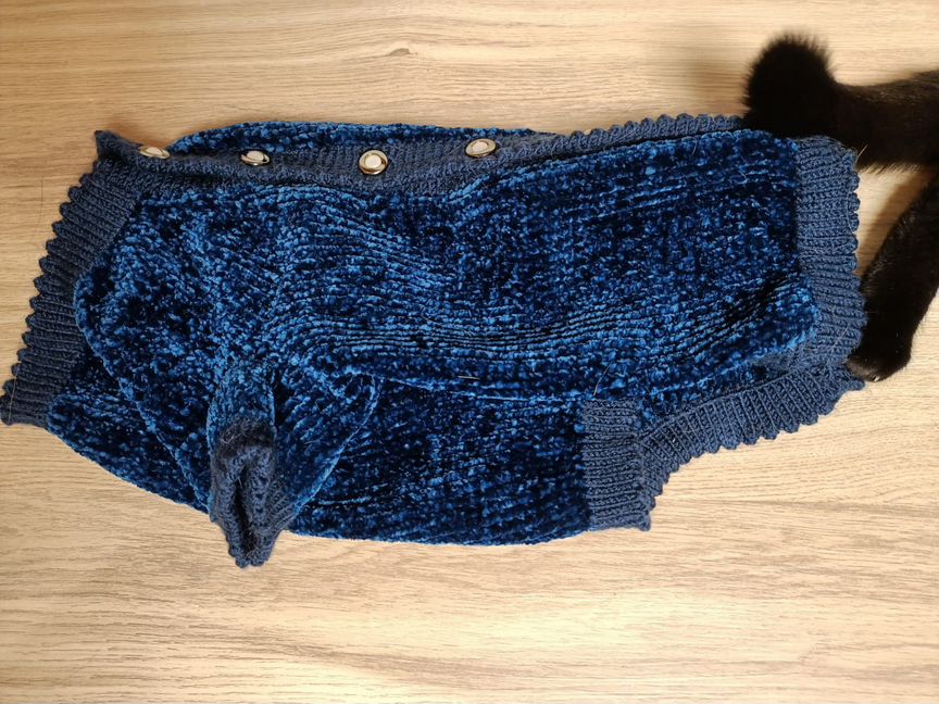 Одежда для собак