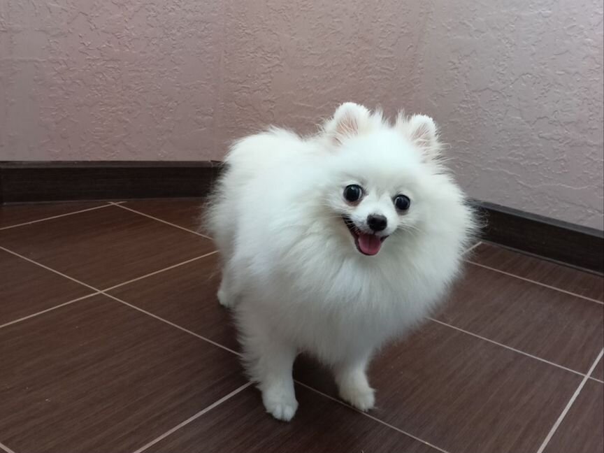 Блондинка