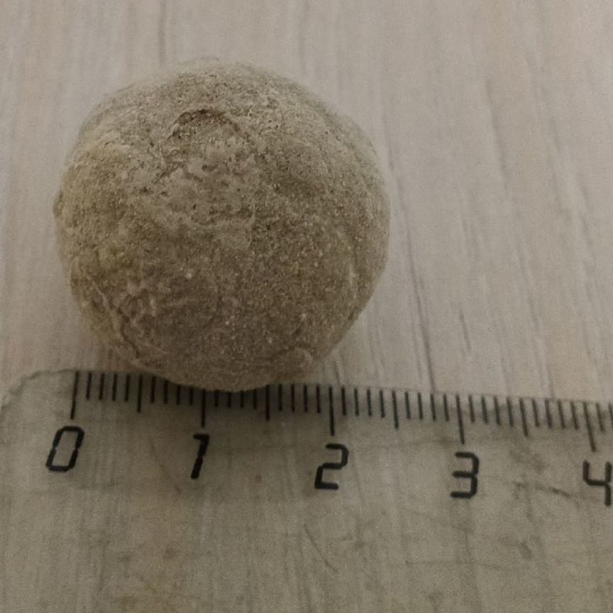 Шарики из глины. Удобрение для аквариумных растени