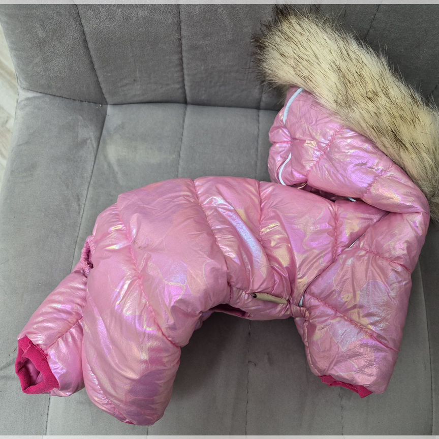 Одежда для маленьких собак зима