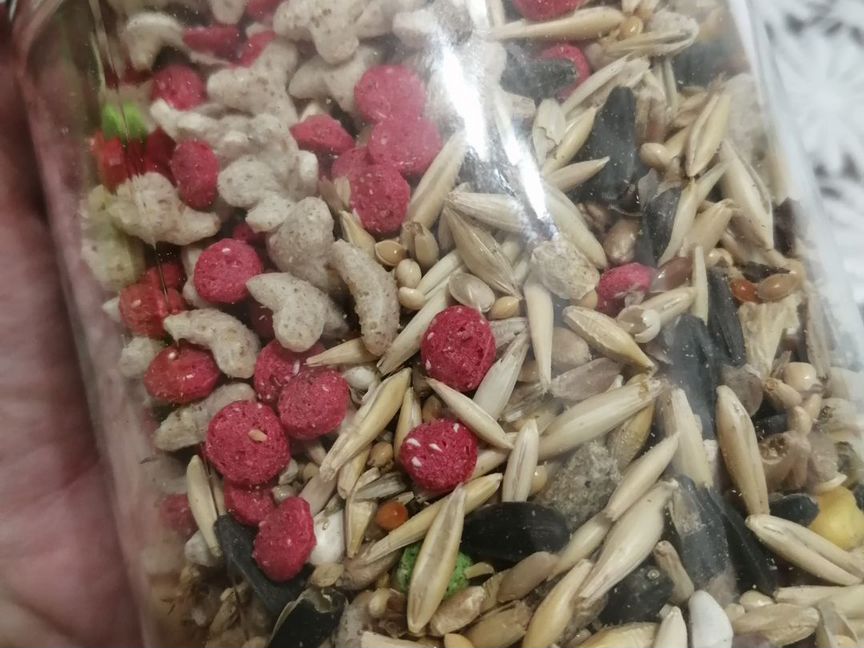 Корм для хомяков