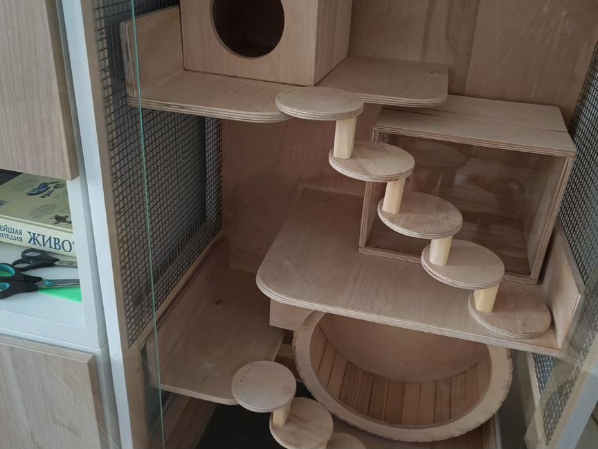 Клетка для грызуна с крысой