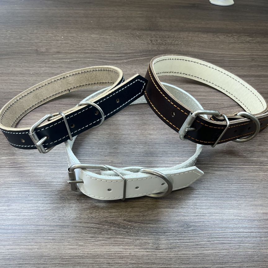 Новые ошейники для собак