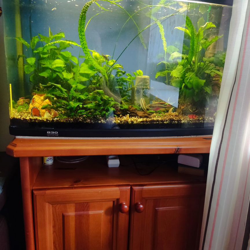 Аквариум с тумбой с рыбками