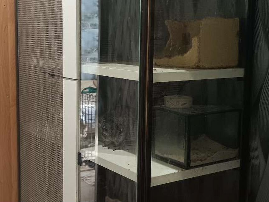 Клетка для шиншиллы и 2 шиншиллы