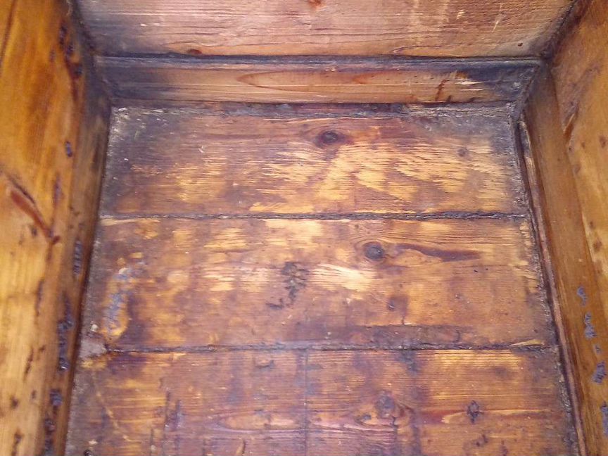 Улики для пчел