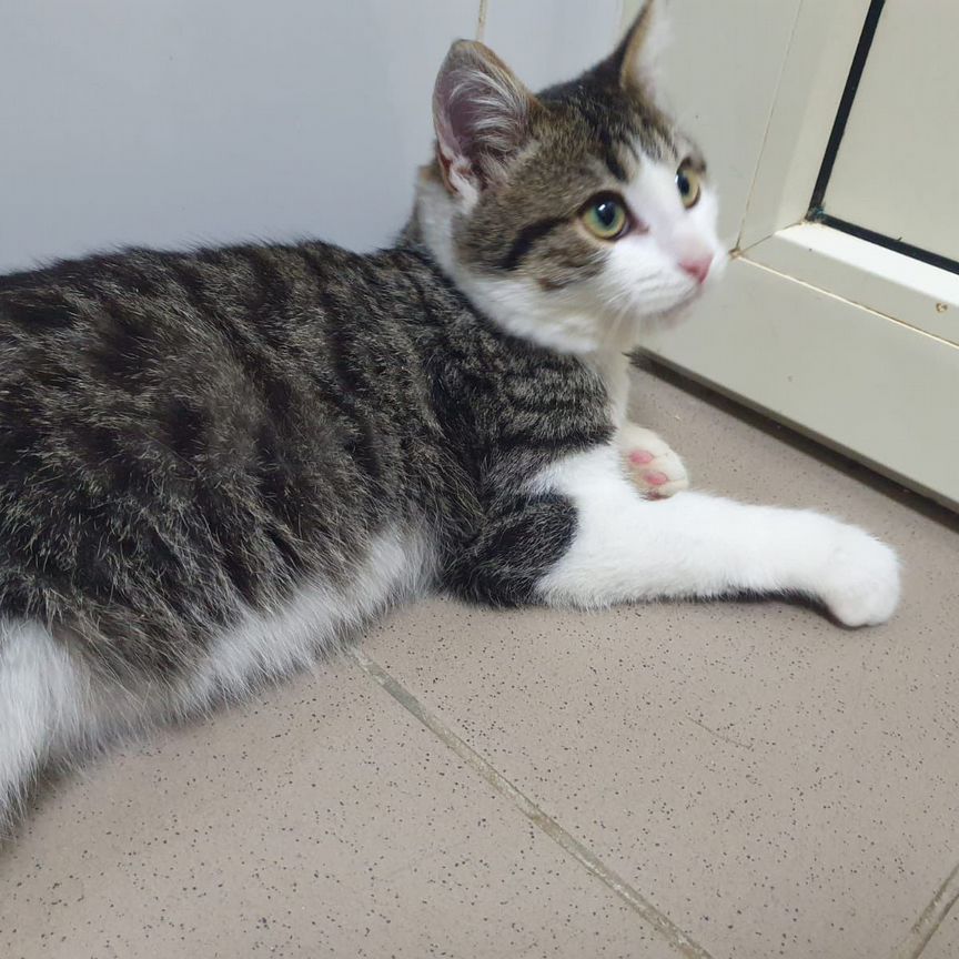 Очаровашка