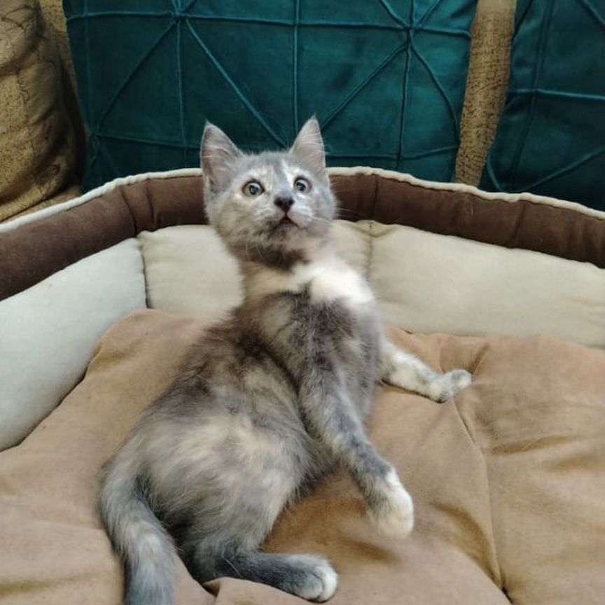 Василиса 3 месяца