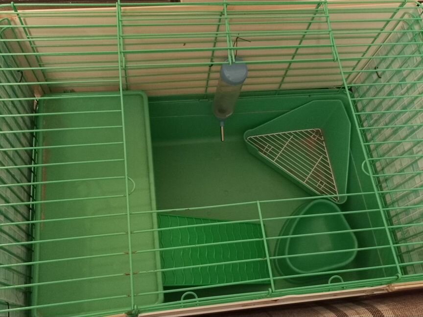 Клетка для морской свинки