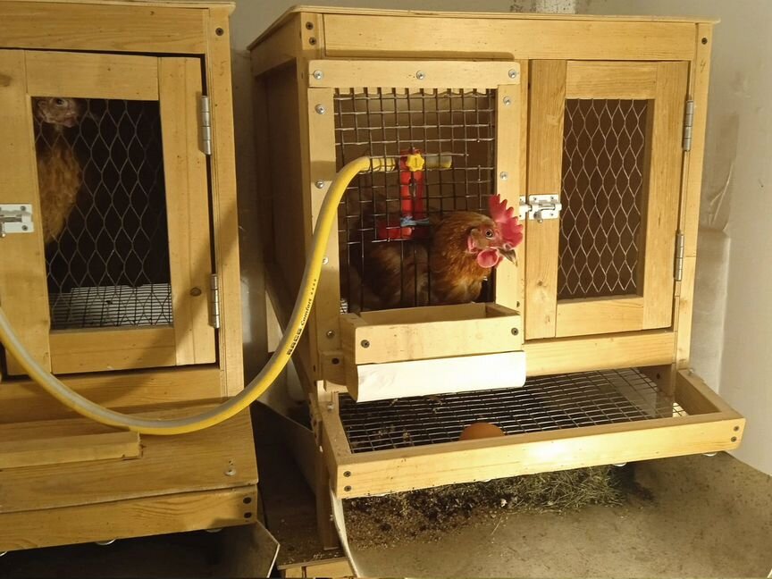 Клетка для курицы несушки, деревянная