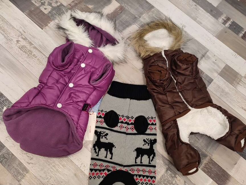 Одежда для собак. Новая. Свитер. Комбинезон