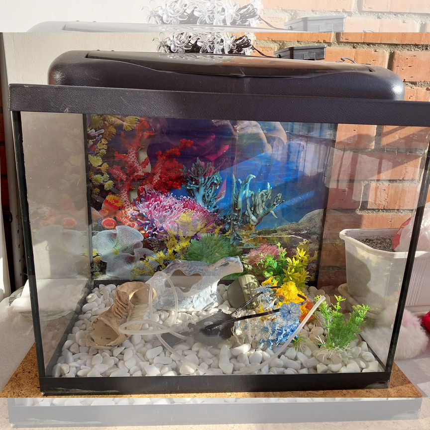 Аквариум на 70 литров
