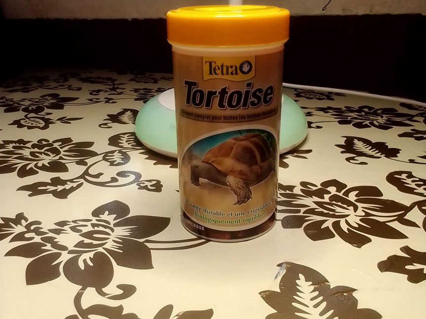 Корм для сухопутных черепах