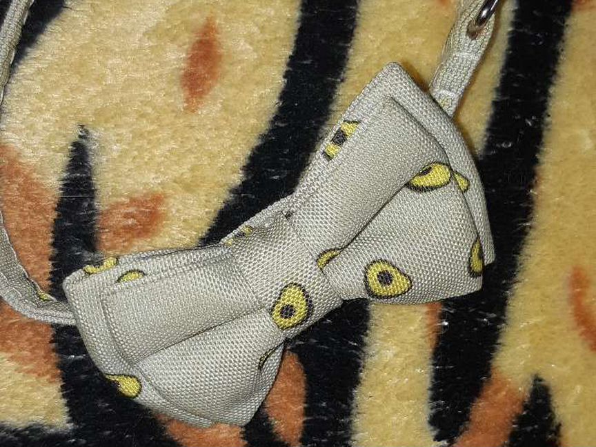 Бабочка для собак и кошек