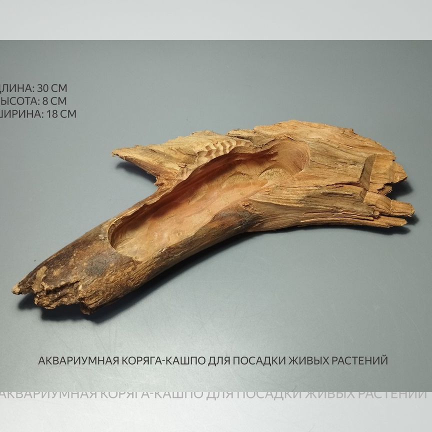 Аквариумная коряга кашпо для посадки растений №2