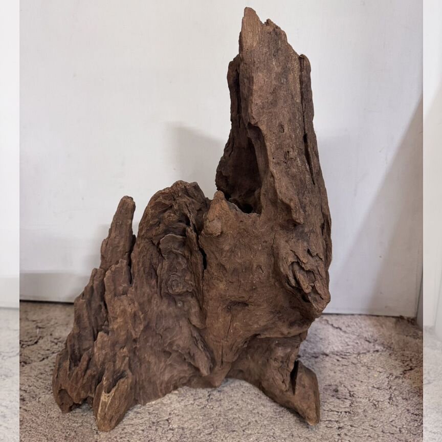 Коряги для аквариума коряга для террариума