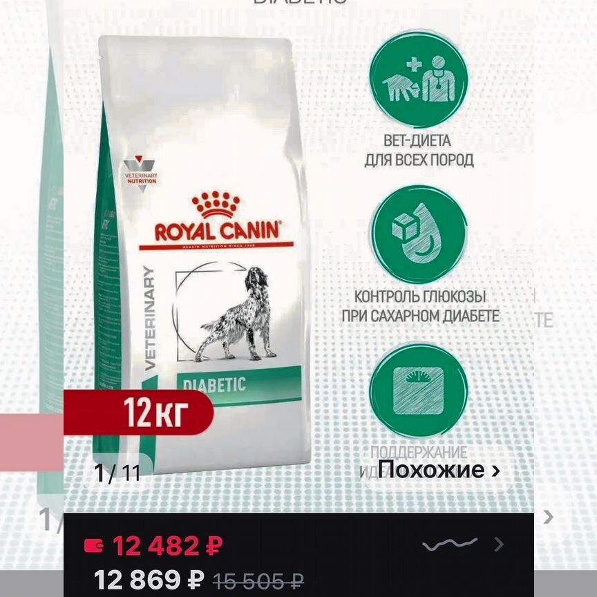 Домашние животные собаки