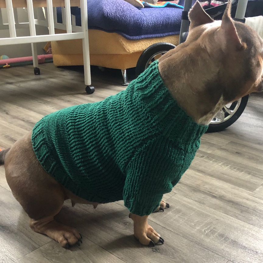 Свитер для крупной/средней собаки