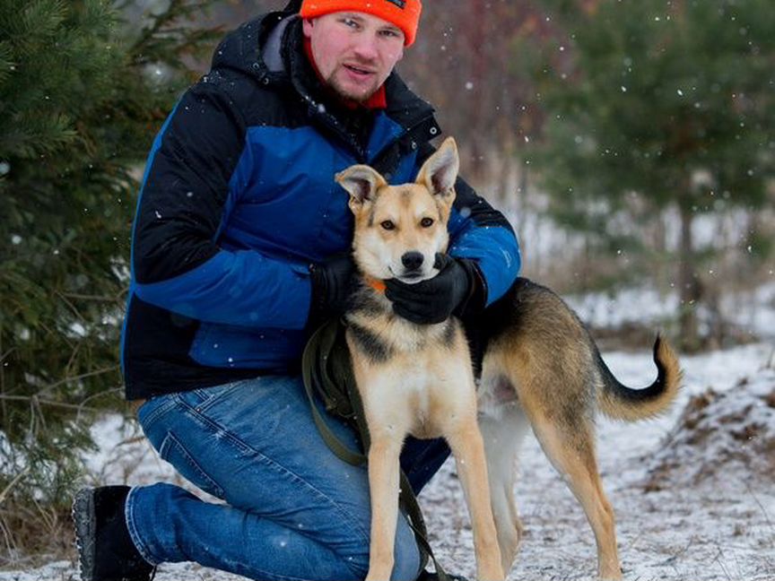 Всем Бонжур