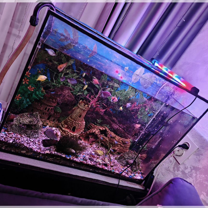 Аквариум с тумбой 100 л