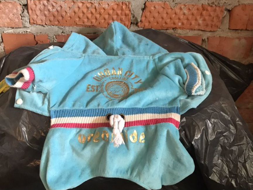 Одежда для собак