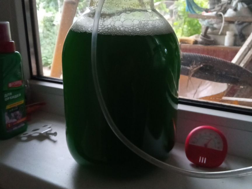 Тетраселмис