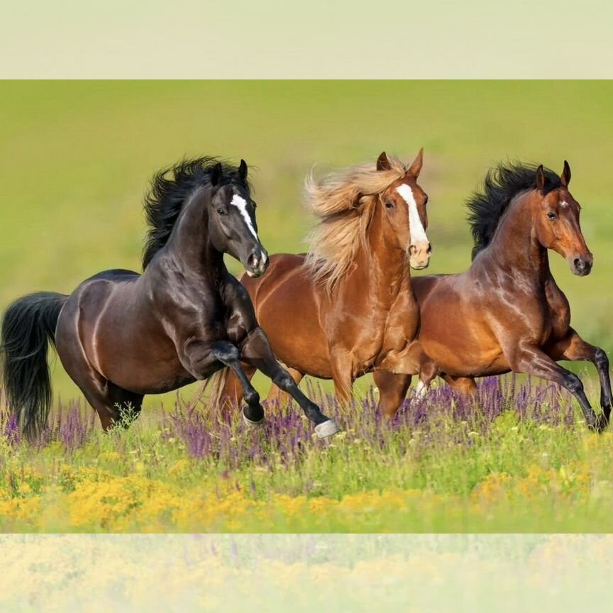 Зернодробилка