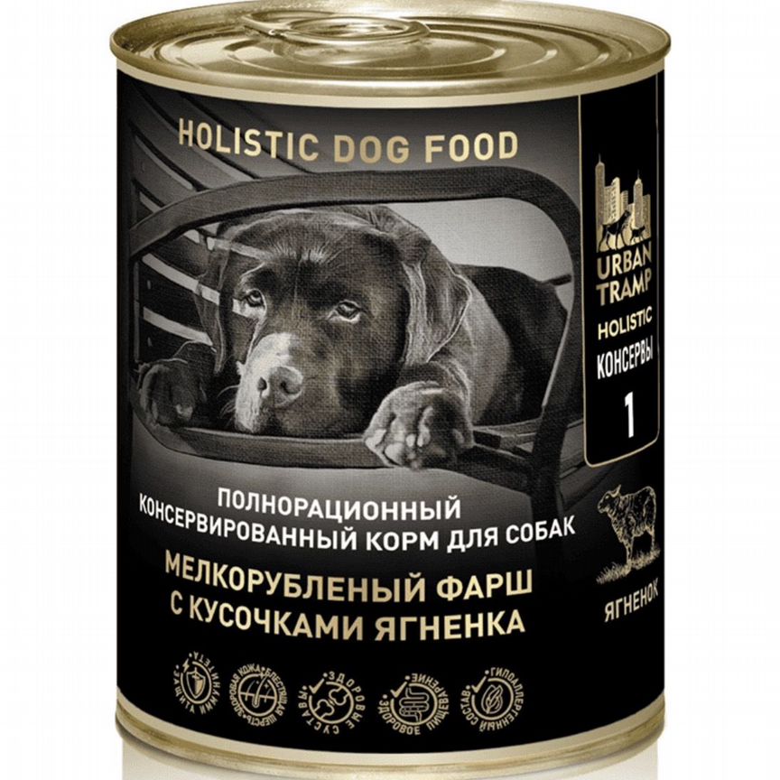 Urban tramp holistic с ягненком