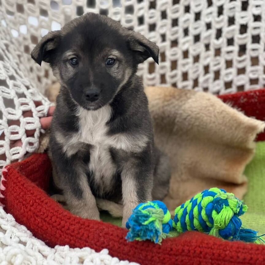 Замечательный малыш 2 месяца